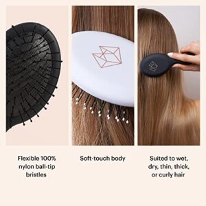 Lunata Detangle Me Wet / Dry Hair Brush | Detangling Brush for All Hair Types | Dry & Wet Travel Brush | Hair Brushes for Women, Mini Black