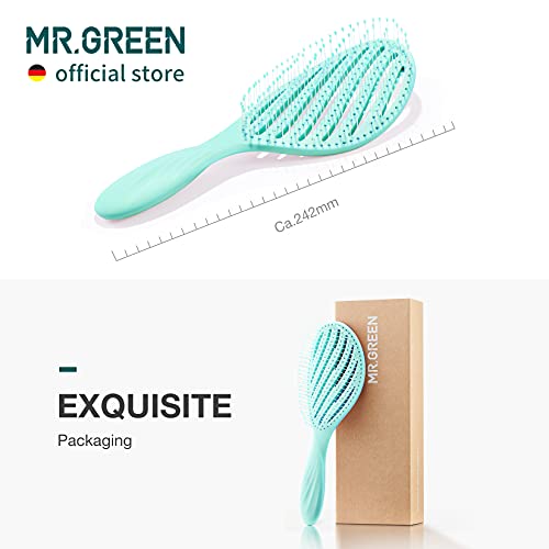 MR.GREEN Hollow Out Hair Brush Scalp Massage Combs Hair Styling Detangler Fast Blow Drying Detangling Tool For Wet Dry Curly Hair (Green)