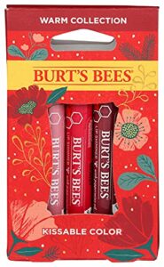 burts bees warm kissable color gift set, 1 ea