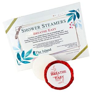 Natural Eucalyptus Shower Steamers - 6pc Handmade in USA Eucalyptus Essential Oils to Relax, Moisturize for Spa Day, Self Care - for Men, Women, Moms, Pampering Gifts for Her