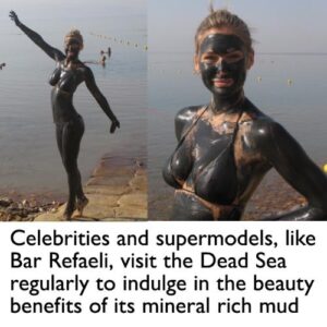 Authentic Premier Dead Sea Mud Mask from Israel Detox Cleanse Exfoliate Rejuvenate Anti Acne Eczema Psoriasis Treatment Organic Skin Care Products DEAD SEA SECRETS Premier Skin Care