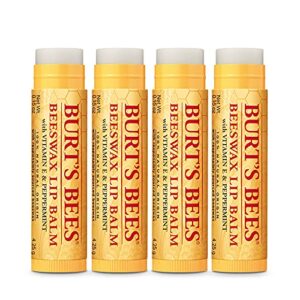 Burt’s Bees Beeswax Bounty Classic Set