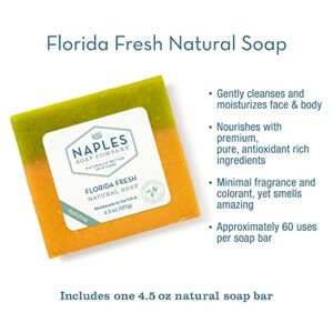 Naples Soap Company Cult Classics Collection Gift Set – Natural Soap, Body Butter, Sea Salt Scrub, Shampoo and Conditioner Bars – Eco-Friendly, Cruelty-Free, No Parabens or Silicones – Florida Fresh