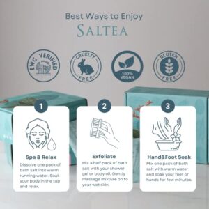 Saltea Luxury Spa Bath Salts for Soaking, Bubble Bath Soak Gift Box, Magnesium, Self Care for Women Relaxing, Moisturize Skin, Jojoba Argan Oil, Spa Set, Box of 10 Packets (Vetiver)