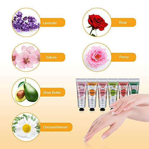 Hand Cream Set, Moisturizer Plant Fragrance Hand Lotions for Hand Care, Hand Lotion Enriched with Plant Essence More Conducive to Repair Anti Aging Anti Chapping, 30ml/Piecse (6 Pack)