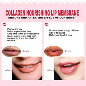 Jakuva 30PCS Collagen Crystal Moisturizing Lip Mask,Gel Lip Pads Lip Balm Lip Masks for Dry Lips,Remove Chapped Skin & Nourish &Moisturizing,Lip Sleeping Mask Great Plump Your Lips,Rose Pink