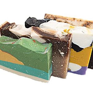 Morning Energy Soap Collection - 4(Four) 2Oz Guest Bars, Sample Size Soap -Natural Handmade Soaps for Fresh Morning Shower. Oatmeal Honey, Green Tea, White Tea, Coffee Soap - Falls River Soap Company