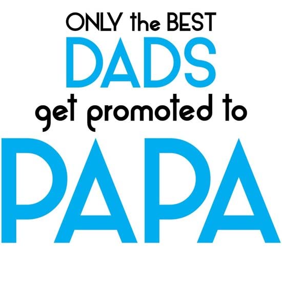 CafePress BEST DADS GET PROMOTED TO PAPA Mugs Ceramic Coffee Mug, Tea Cup 11 oz