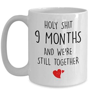 9 Month Anniversary Mugs Funny Quote Mug Gag Mug Funny Valentine's Day Mug for Husband Wife Boyfriend Girlfriend Men Women