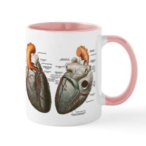 cafepress anatomy of the human heart mug ceramic coffee mug, tea cup 11 oz