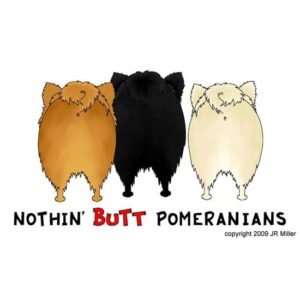 CafePress Nothing Butt Pomeranians Mug Ceramic Coffee Mug, Tea Cup 11 oz