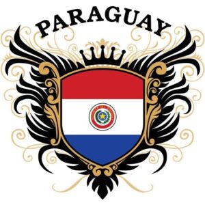 CafePress Paraguay Mug Ceramic Coffee Mug, Tea Cup 11 oz