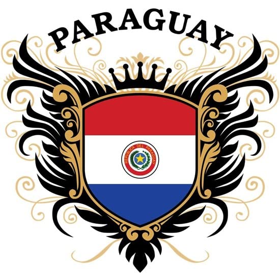 CafePress Paraguay Mug Ceramic Coffee Mug, Tea Cup 11 oz