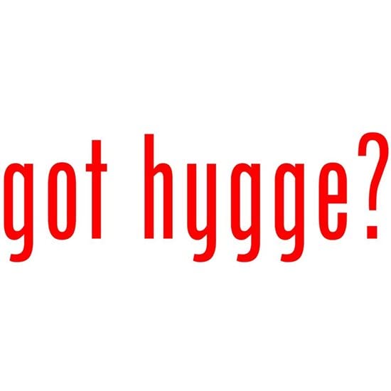 CafePress Got Hygge? Mug Ceramic Coffee Mug, Tea Cup 11 oz