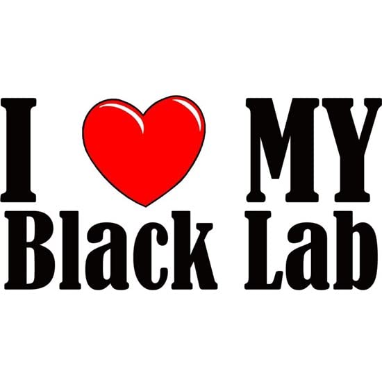 CafePress I Love My Black Lab Mug Ceramic Coffee Mug, Tea Cup 11 oz