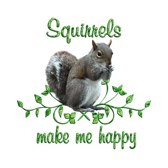 CafePress Squirrels Make Me Happy Mug Ceramic Coffee Mug, Tea Cup 11 oz