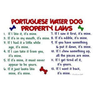 CafePress Portuguese Water Dog Property Laws 2 Mug Ceramic Coffee Mug, Tea Cup 11 oz