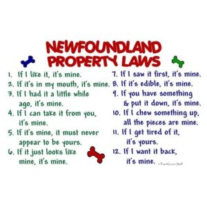 CafePress Newfoundland Property Laws 2 Mug Ceramic Coffee Mug, Tea Cup 11 oz