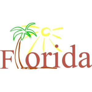 CafePress Florida Palm Mug Ceramic Coffee Mug, Tea Cup 11 oz