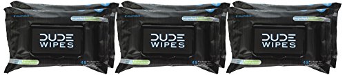 DUDE Wipes Flushable Wipes - 1 Pack, 48 Wipes - Unscented Wet Wipes with Vitamin-E & Aloe for at-Home Use - Septic and Sewer Safe