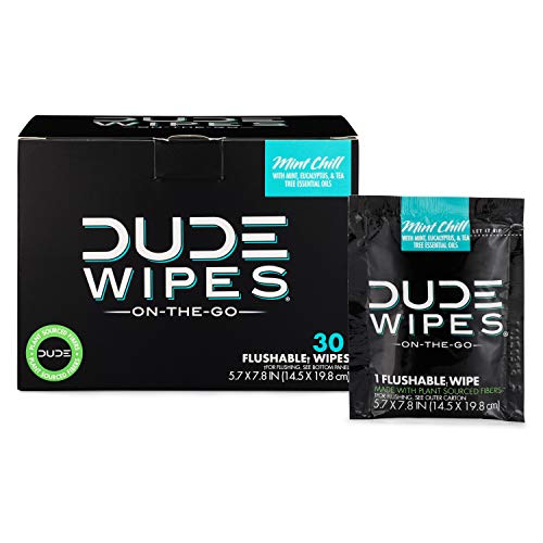 DUDE Wipes On-The-Go Flushable Wet Wipes - 1 Pack, 30 Wipes - Mint Chill Extra-Large Individually Wrapped Wipes with Eucalyptus & Tea Tree Oil - Septic and Sewer Safe