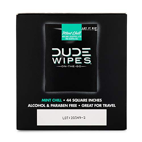 DUDE Wipes On-The-Go Flushable Wet Wipes - 1 Pack, 30 Wipes - Mint Chill Extra-Large Individually Wrapped Wipes with Eucalyptus & Tea Tree Oil - Septic and Sewer Safe