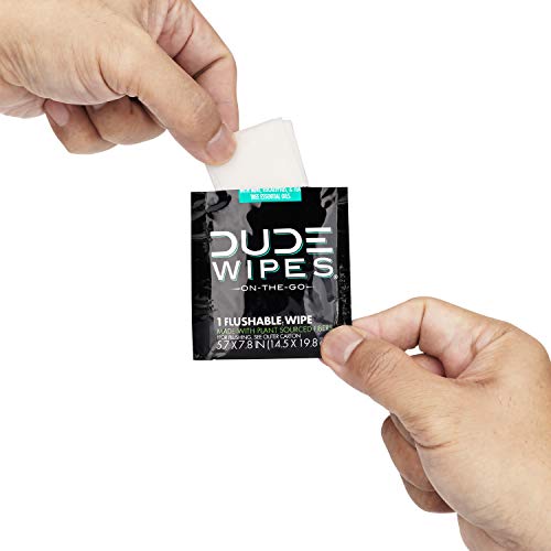 DUDE Wipes On-The-Go Flushable Wet Wipes - 1 Pack, 30 Wipes - Mint Chill Extra-Large Individually Wrapped Wipes with Eucalyptus & Tea Tree Oil - Septic and Sewer Safe