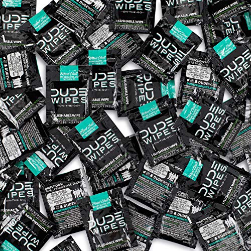 DUDE Wipes On-The-Go Flushable Wet Wipes - 1 Pack, 30 Wipes - Mint Chill Extra-Large Individually Wrapped Wipes with Eucalyptus & Tea Tree Oil - Septic and Sewer Safe