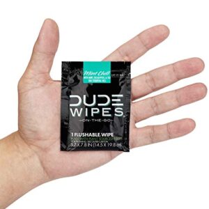 DUDE Wipes On-The-Go Flushable Wet Wipes - 1 Pack, 30 Wipes - Mint Chill Extra-Large Individually Wrapped Wipes with Eucalyptus & Tea Tree Oil - Septic and Sewer Safe