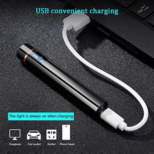 Electronic Lighter, USB Rechargeable Lighter, Mini Cylindrical Strip Flameless Windproof Electric Lighter, Upgrade Smart Fingerprint Ignition Lighter for Indoor Outdoor Cigarette Lighter (Color ice)