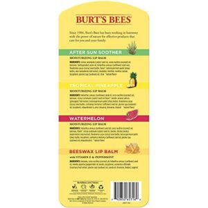 Burt's Bees Moisturizing Lip Balm, 100% Natural, Seasonal Assortment 10 Pack