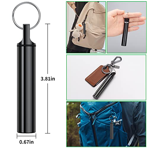 Metal Portable Toothpick Holder Box 3 Pieces ,Pocket Waterproof Case Toothpicks Container with Keychain for Outdoor Picnic and Camping travel purse Ear Wax Removal Tool Case Needle Holder cotton swab