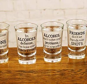 Lillian Rose Party Shot Glasses Set of 4, 4 Count (Pack of 1), Clear