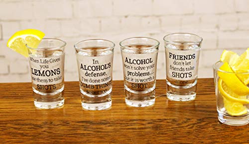 Lillian Rose Party Shot Glasses Set of 4, 4 Count (Pack of 1), Clear