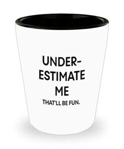 under-estimate me that’ll be fun sarcastic shot glass unique best funny idea 1.4 oz birthday stocking stuffer