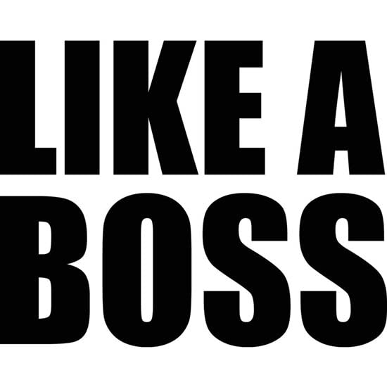 CafePress Like A Boss Mug Ceramic Coffee Mug, Tea Cup 11 oz