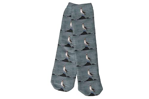 SpreadPassion Blue Footed Booby Sula Nebouxii Galapagos Socks - Galapagos Novelty Socks - Soft and ultra-comfortable Birthday Gifts Socks