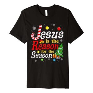 Jesus The Reason Christmas Stocking Stuffer Funny Xmas Premium T-Shirt