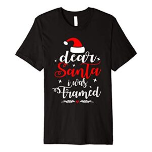 Dear Santa I Was Framed Naughty Or Nice Christmas Cute Gifts Premium T-Shirt