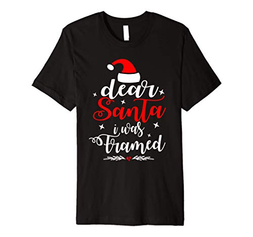 Dear Santa I Was Framed Naughty Or Nice Christmas Cute Gifts Premium T-Shirt