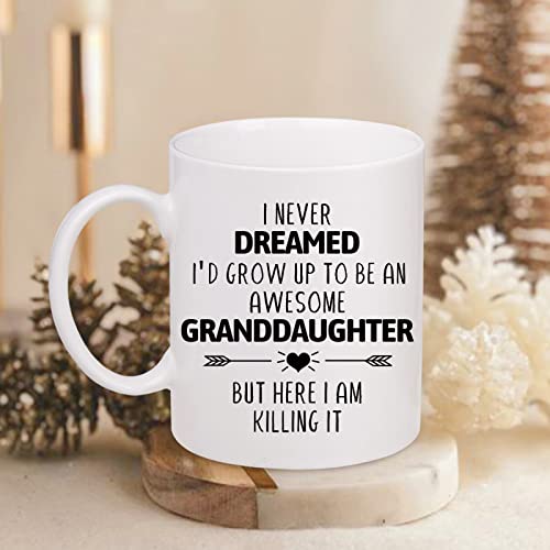 Granddaughter Mug 11OZ, I Never Dreamed I'd Grow Up To Be AN AWESOME granddaughter But Here I Am Killing It! Funny Cool Mugs, Cool Coffee Mug Gift for family and friends, Christmas, Thanksgiving