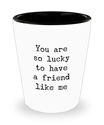 Funny For Friend You Are So Lucky To Have A Friend Like Me Shot Glass Unique Ceramic 1.4 Oz Birthday Stocking Stuffer