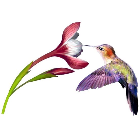 CafePress Hummingbird In Flight Mug Ceramic Coffee Mug, Tea Cup 11 oz