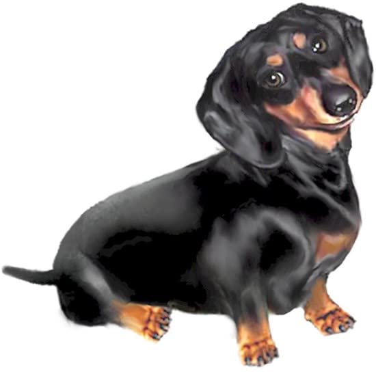 CafePress Black Tan Dachshund Mug Ceramic Coffee Mug, Tea Cup 11 oz