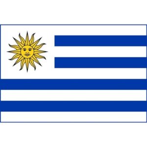 CafePress Uruguay Flag Mug Ceramic Coffee Mug, Tea Cup 11 oz