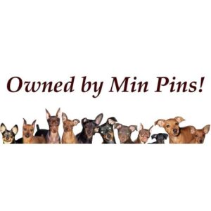 CafePress Miniature Pinscher Mug Ceramic Coffee Mug, Tea Cup 11 oz