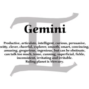 CafePress Gemini Coffee Mug/Cup 11Oz Ceramic Coffee Mug, Tea Cup 11 oz