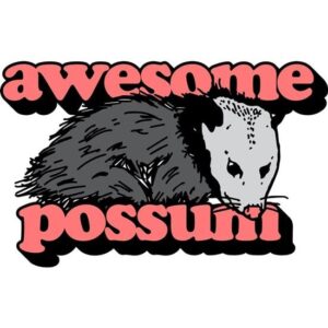 CafePress Awesome Possum 15 Oz Ceramic Large Mug Ceramic Coffee Mug, Tea Cup 11 oz