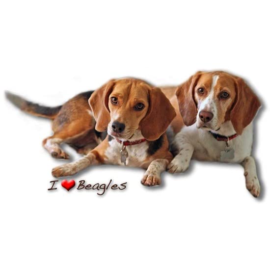 CafePress Two Beagles Mug Ceramic Coffee Mug, Tea Cup 11 oz