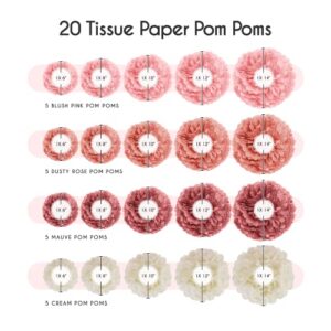 EpiqueOne 20-Piece Tissue Paper Pom Poms Party Kit - Add a Splash of Blush Pink, Dusty Rose, Mauve & Cream to Your Celebrations! Perfect for Birthday, Bridal Shower, Baby Shower, Wedding & Graduation